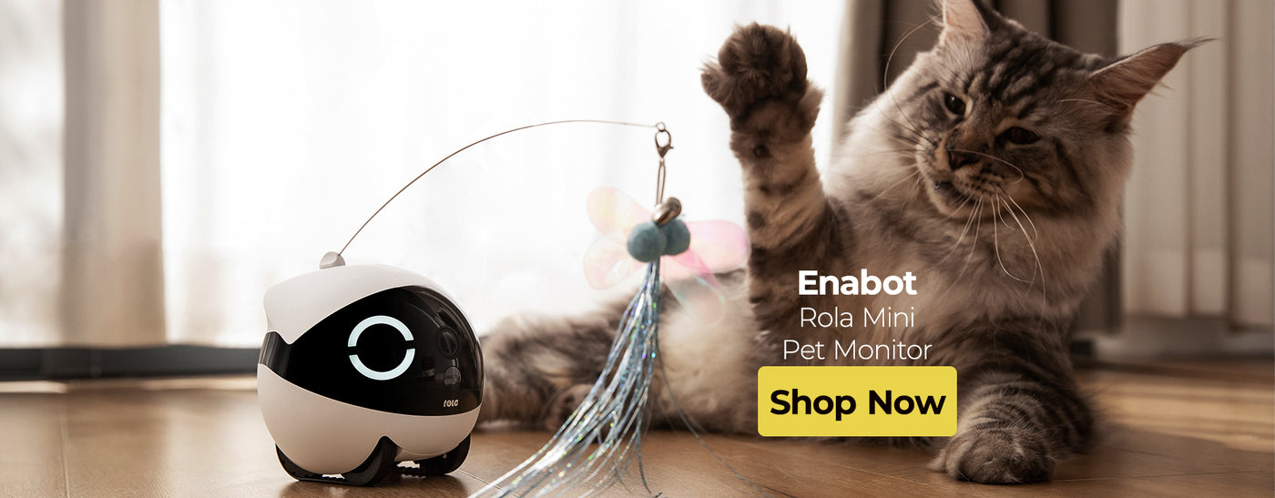 Smartpaw Pet Online Store Singapore | 1st Pet Tech Store In Singapore