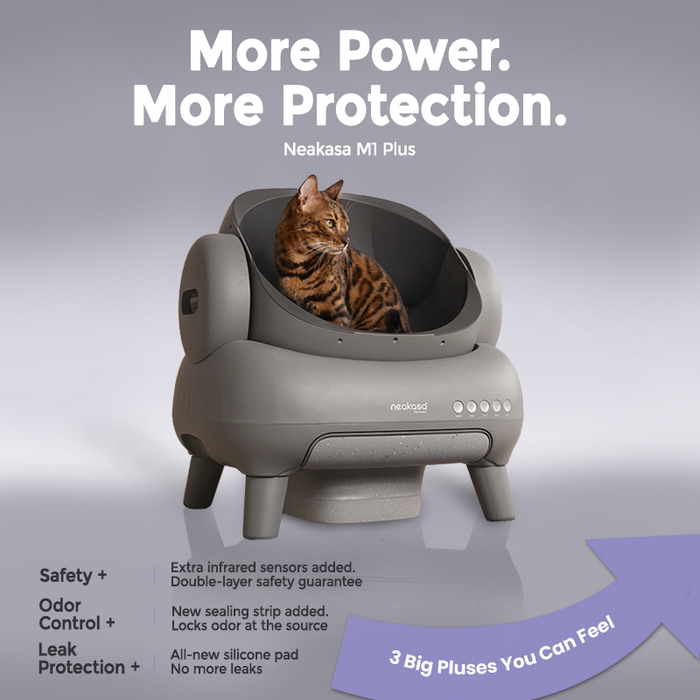 Neakasa M1 Plus (Upgraded) Smart Litter Box — Open‑Top, Quiet, Leak‑Proof