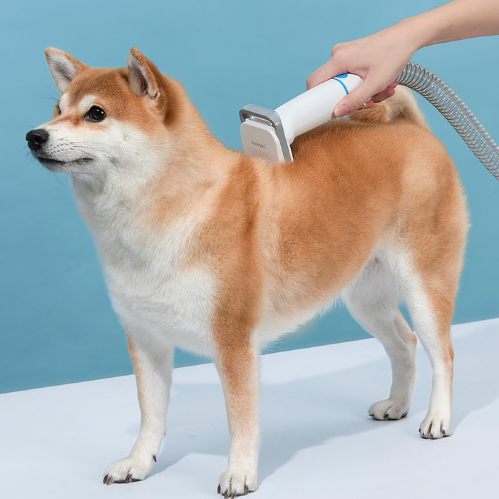 Ultimate Dog Grooming Bundle – Vacuum, Dryer & Nail Grinder